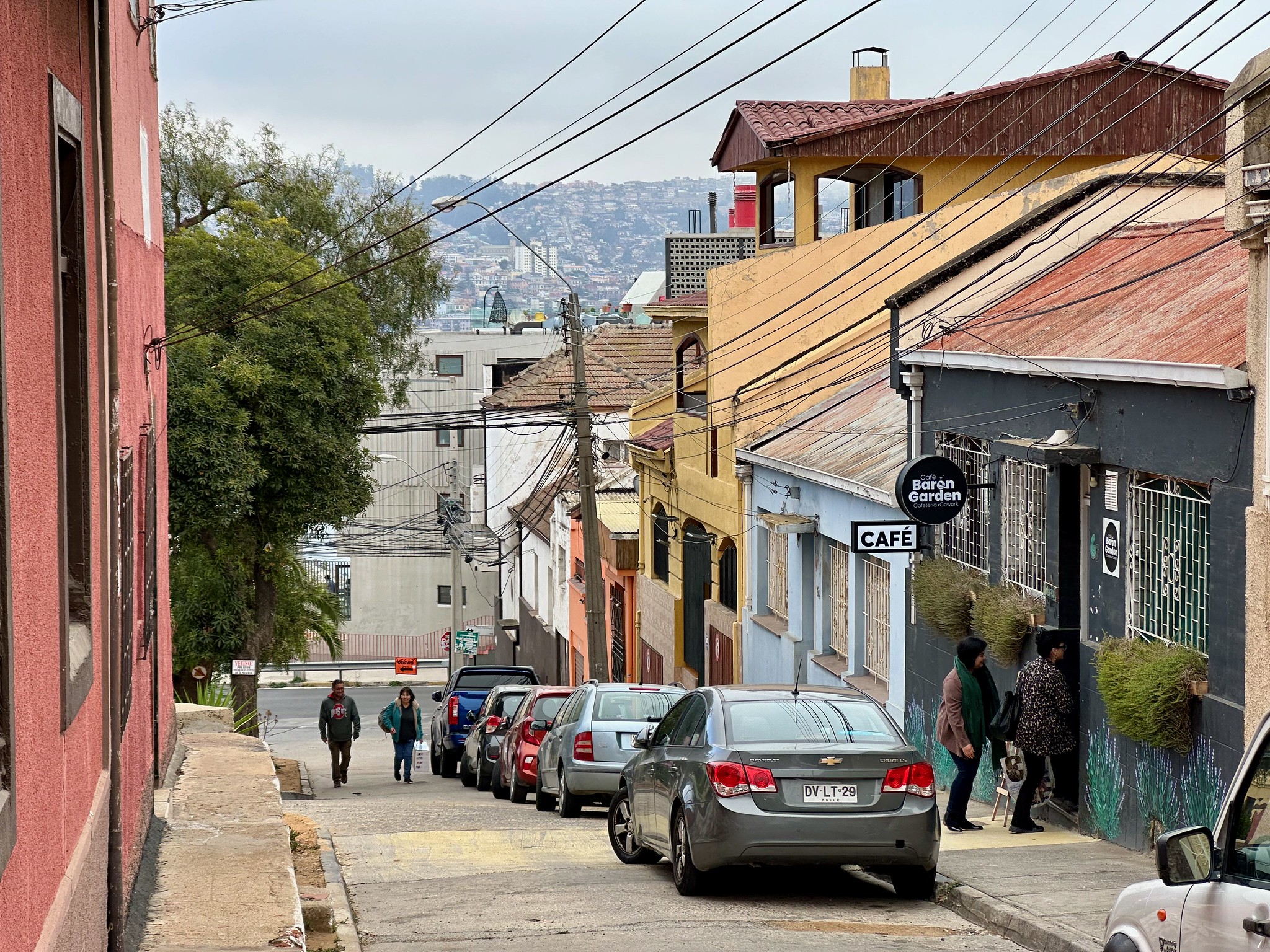 Café Barón Garden: un rincón verde y sabroso en el corazón del cerro ...