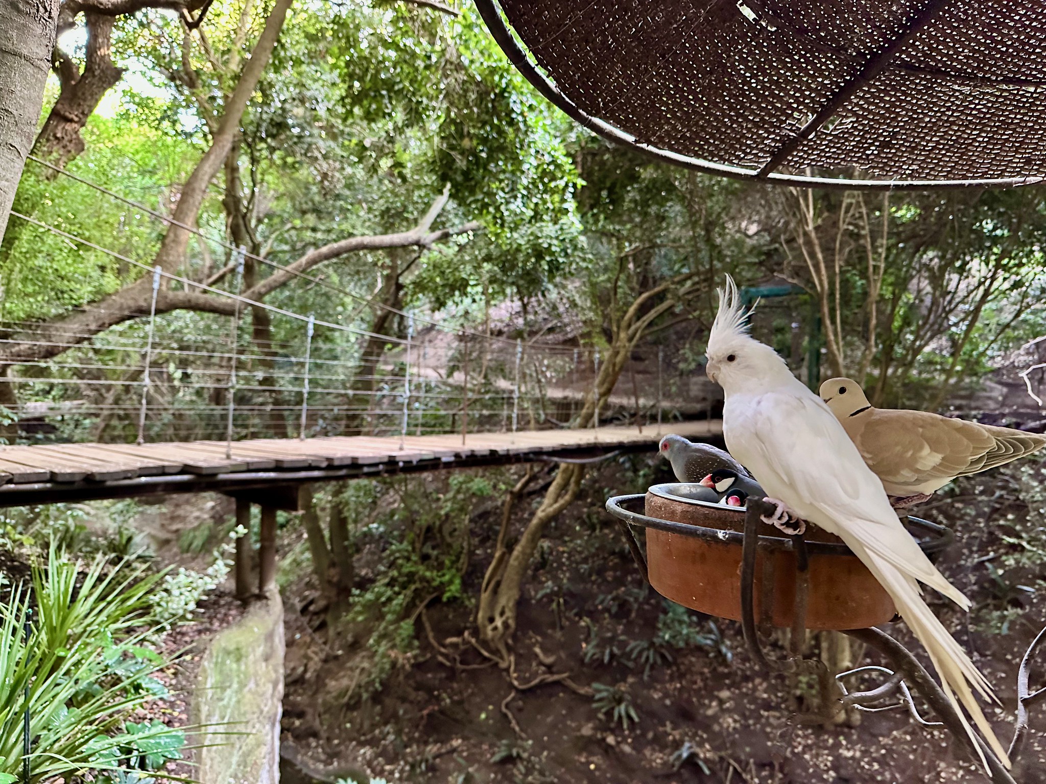 Parque Tricao: un santuario natural para disfrutar en familia - Apuntes ...