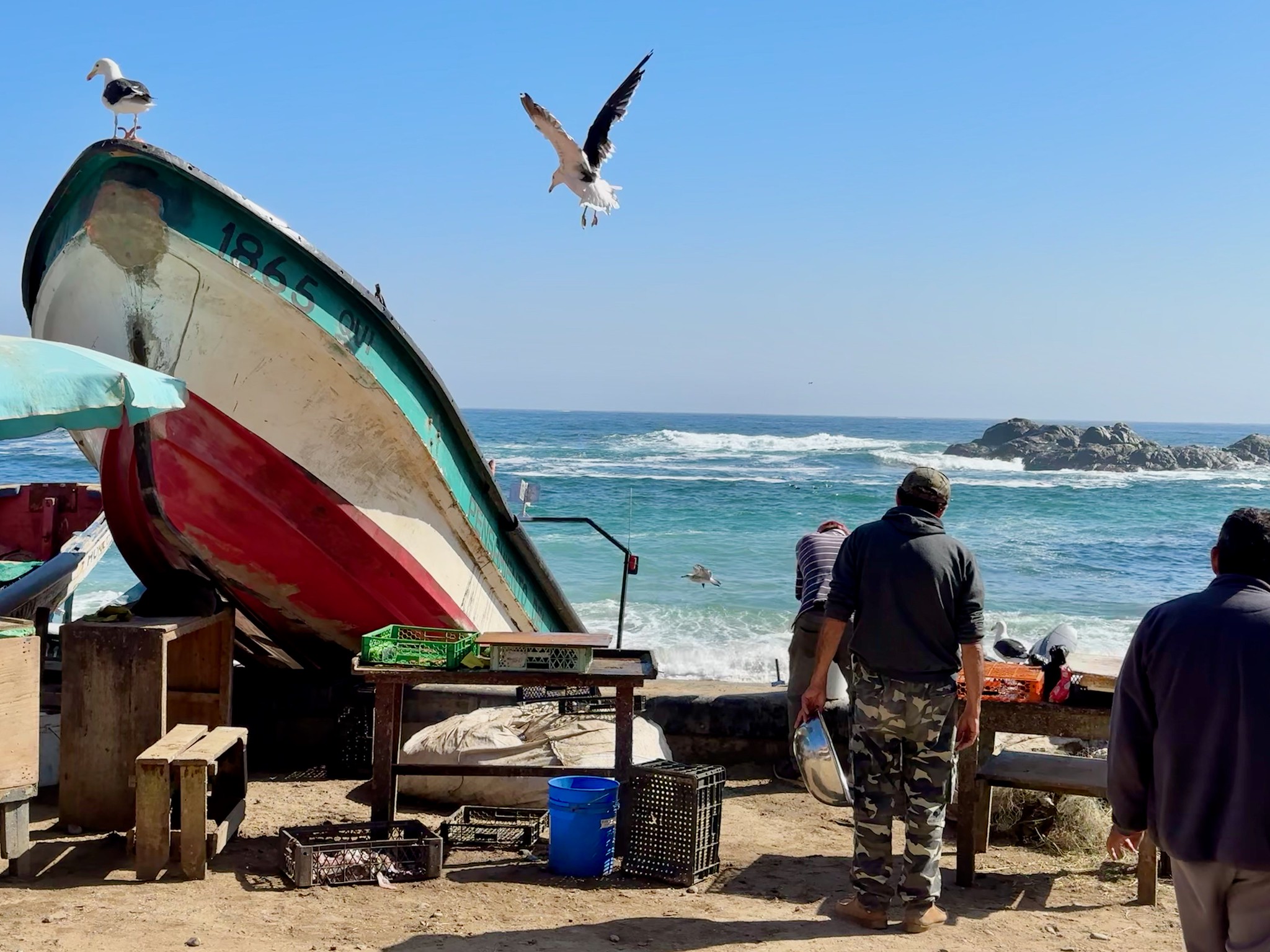 Horcón: un refugio costero donde conviven pescadores, artistas y ...