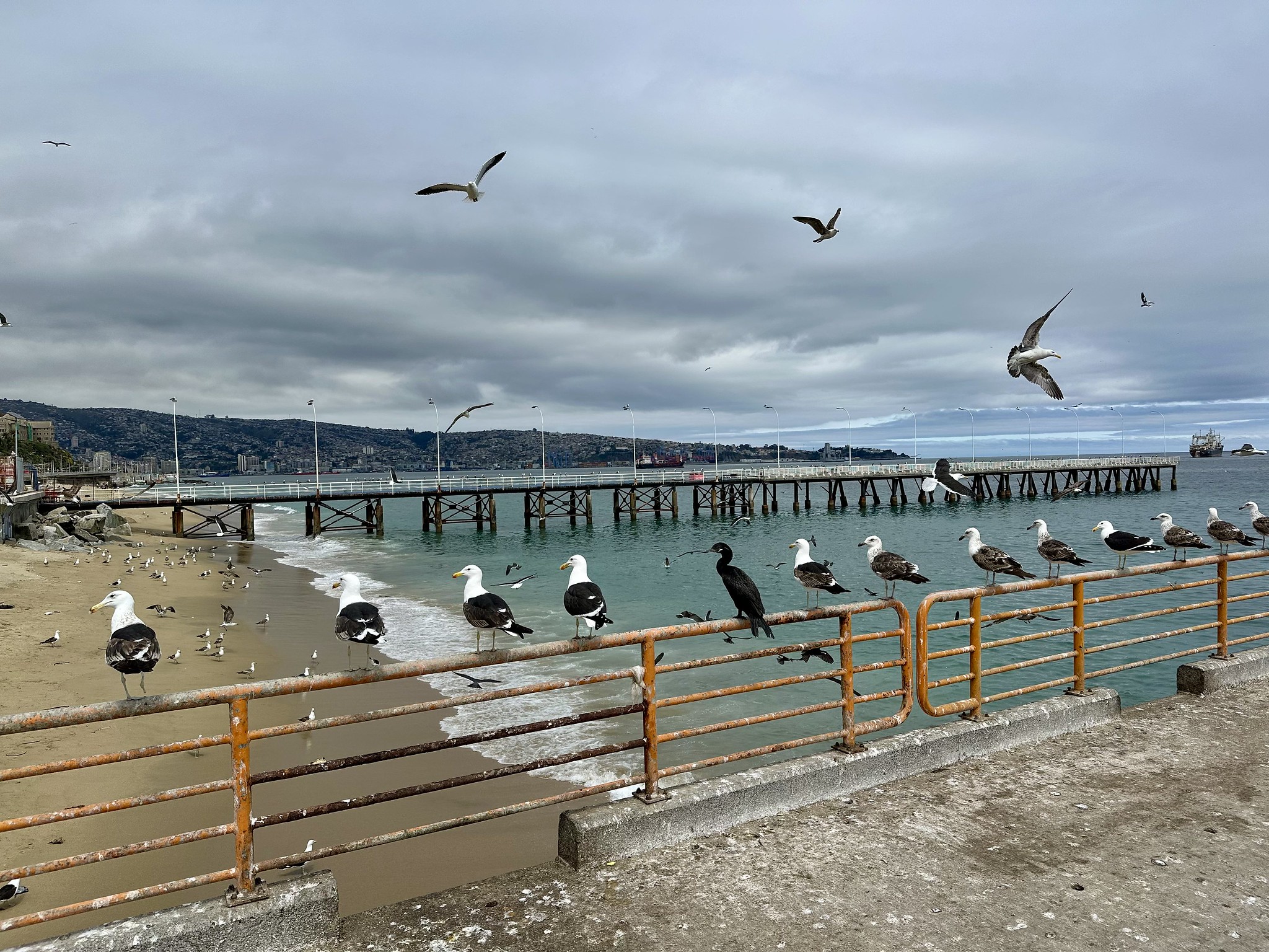 Caleta Portales en Valparaíso: historia, pesca artesanal y gastronomía ...